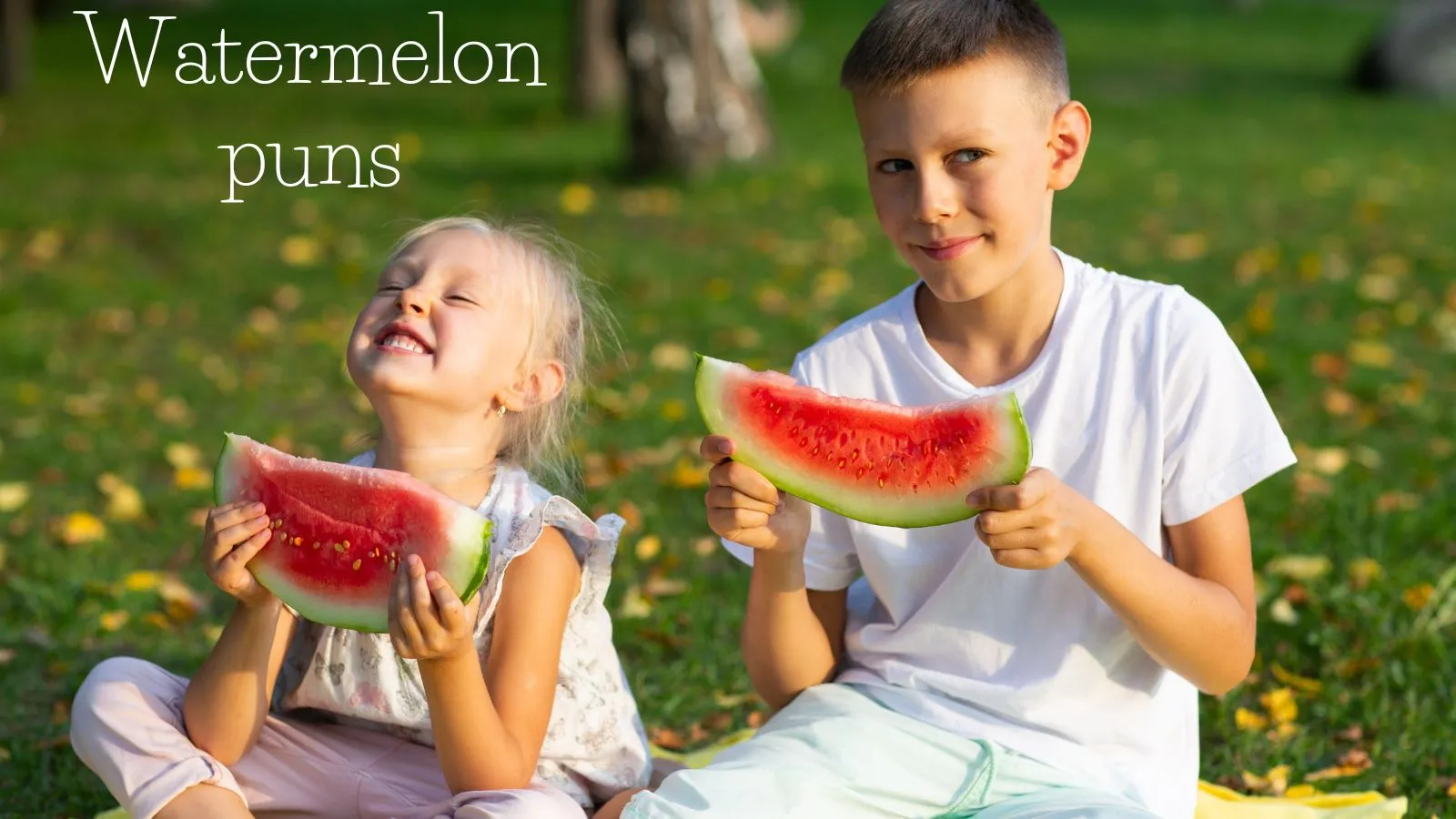 560+ 🍉 Watermelon Puns That Are One in a Melon!