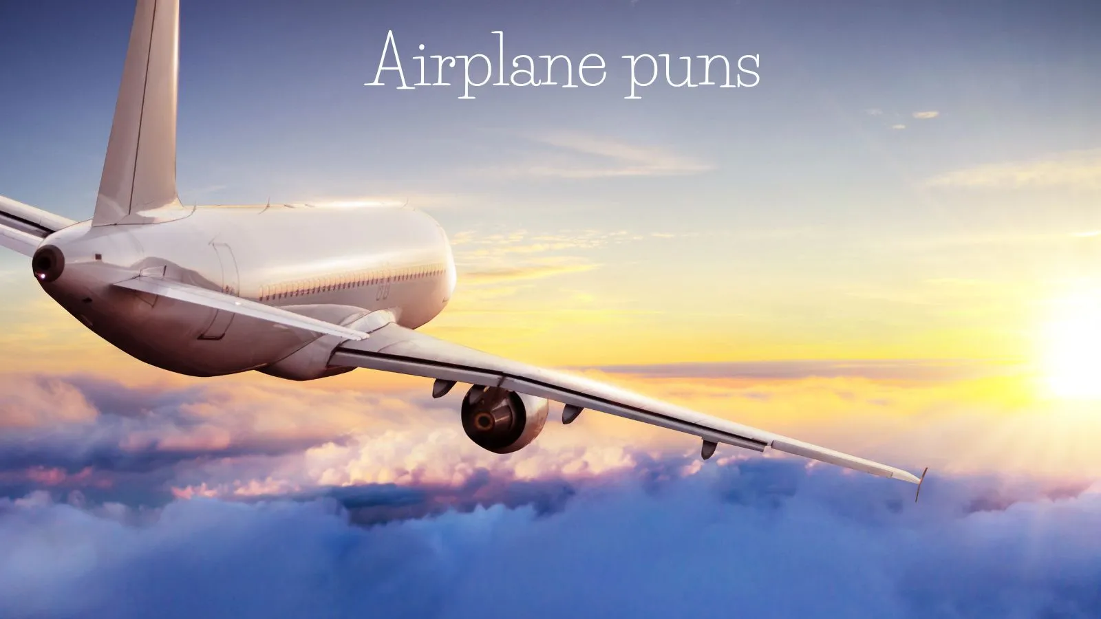 670+ ️ Flying High with Airplane Puns
